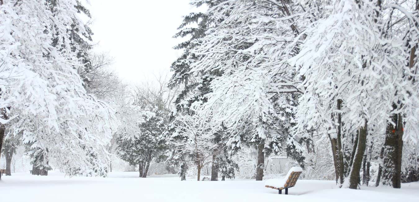 30+ Best Snow Jokes to Get You Through the Cold Months