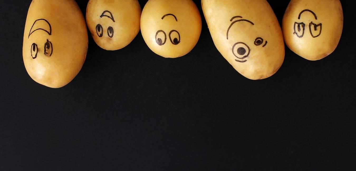 28+ Best Potato Jokes You'll Starch Laughing